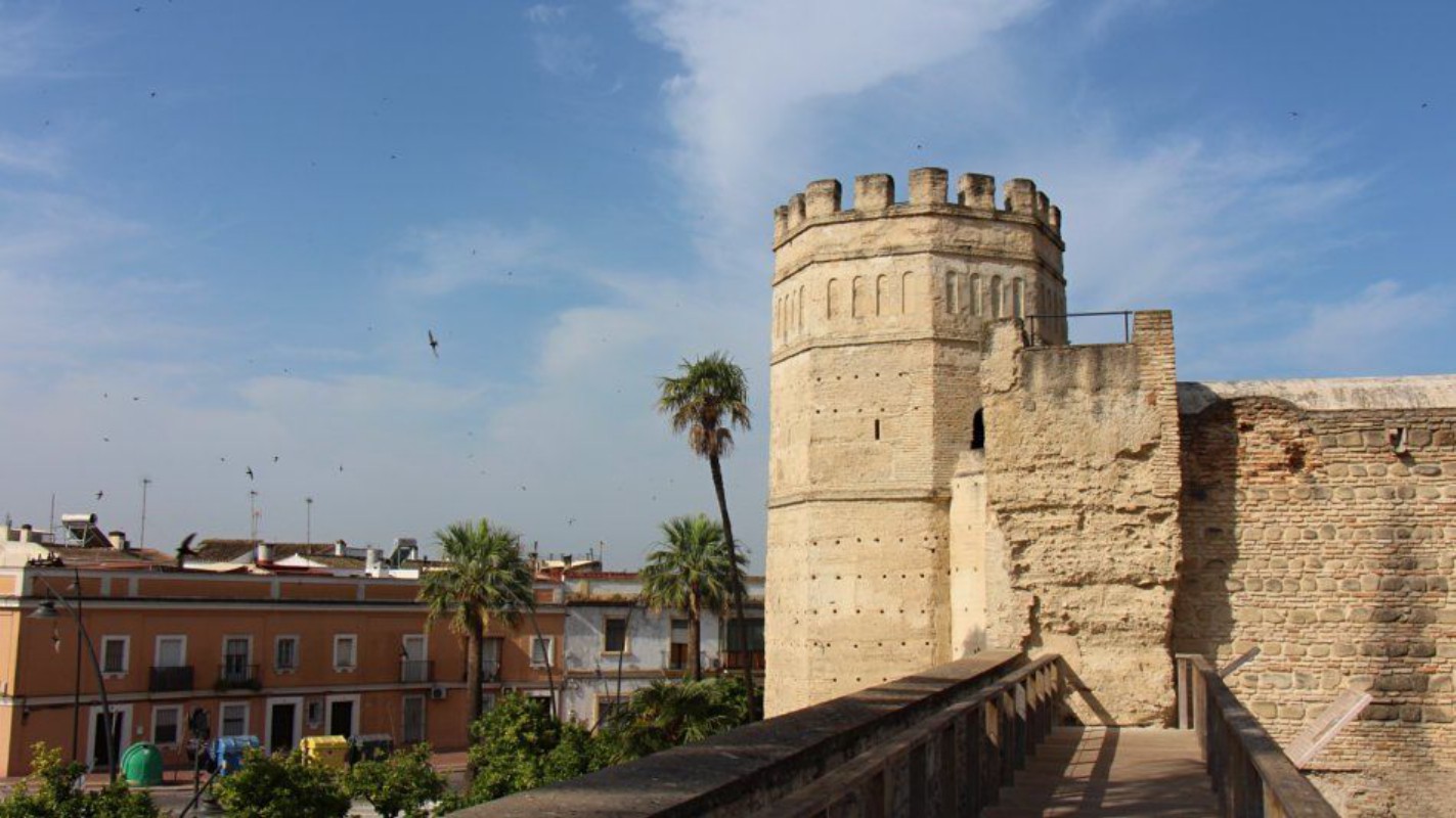Complete Guide to Setting Up Non-Profit Organizations in Spain - Spain ...