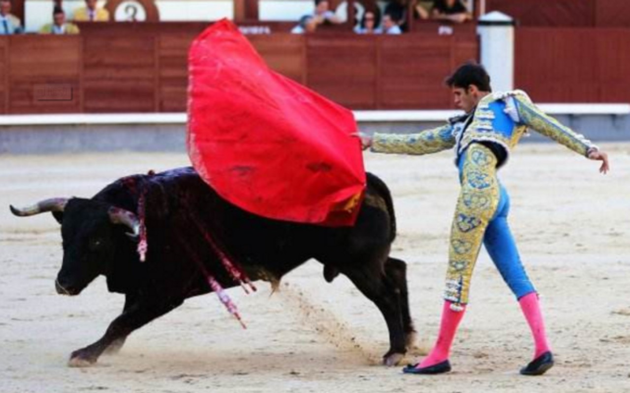 Spanish Matador Ocarina: The Perfect Fusion of Traditional Culture and ...