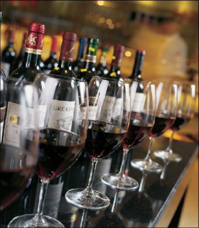 El Verdadero Propósito y Orígenes Históricos de las Jaulas de Malla ...