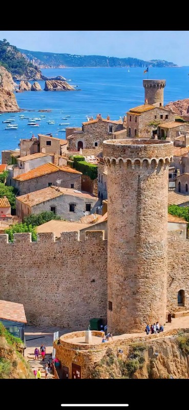 耐克巴塞罗那球衣：从诺坎普到马德里街头的足球文化符号 - Spain Living Forum