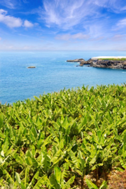 帕尔马和热那亚哪个更值得去？两座意大利海港城市深度对比 - Spain Living Forum