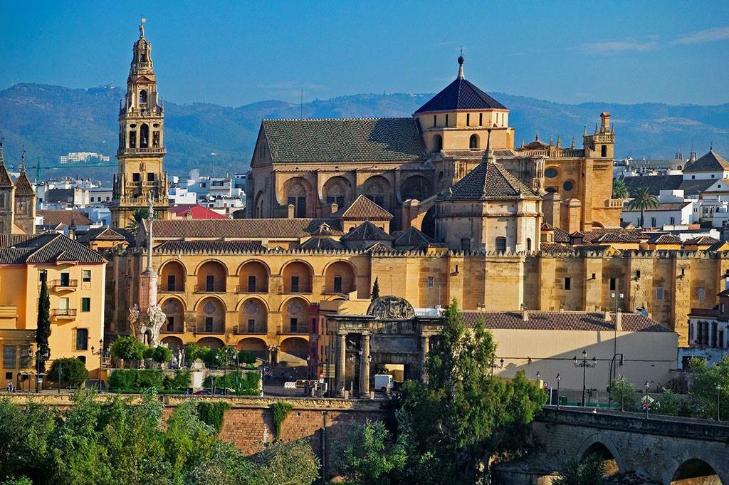 What is the Official Website for Amazon Spain? A Shopping Guide and FAQ ...